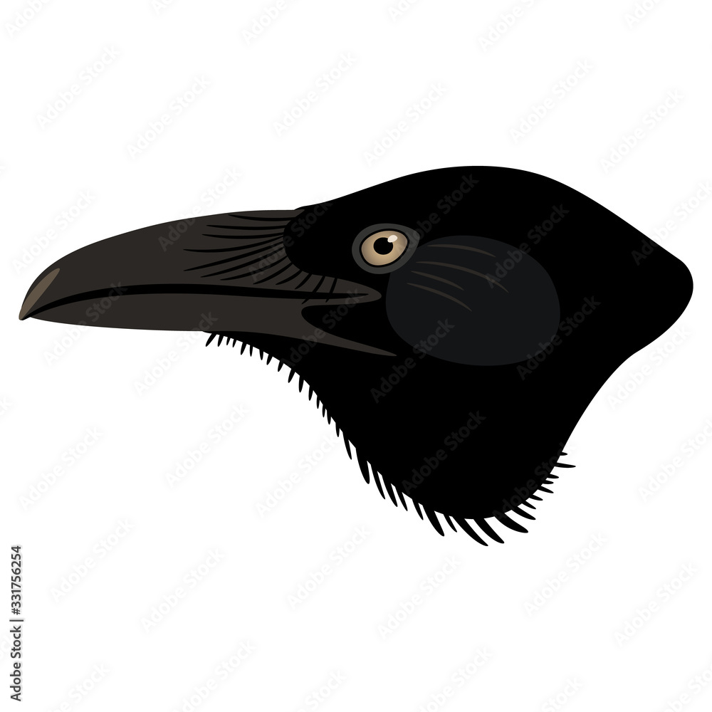 Isolated vector illustration. Head of a raven in profile. Corvus bird ...