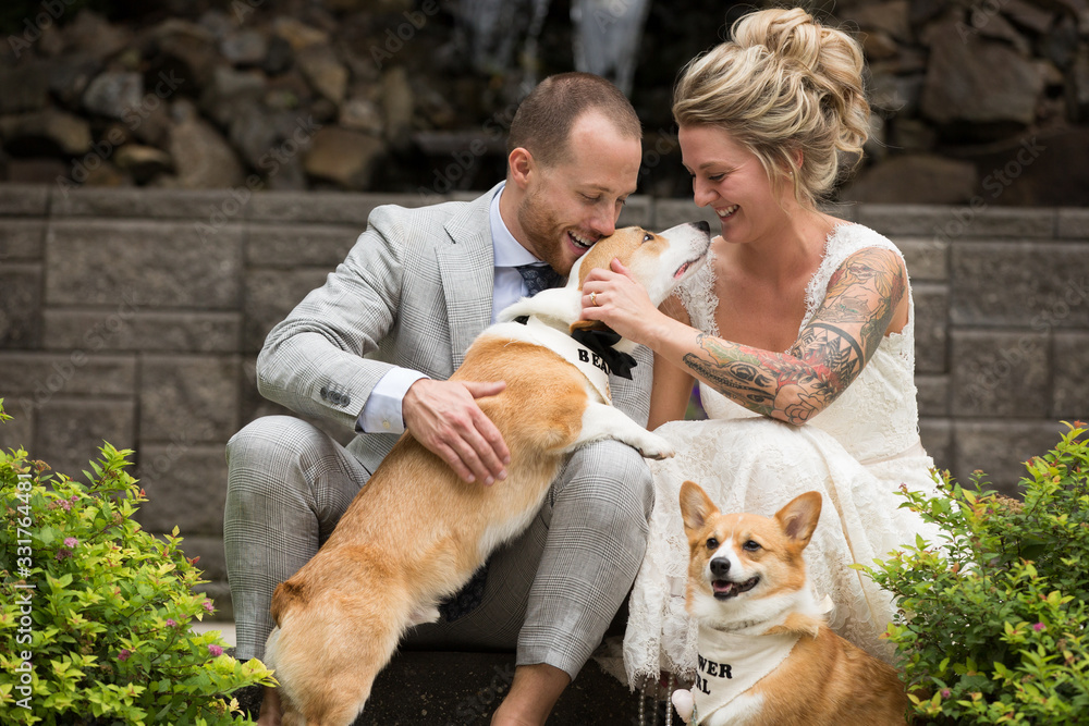 Matrimonio Corgi Corgi Dogs Married Couple, Wedding Day" Greeting Card