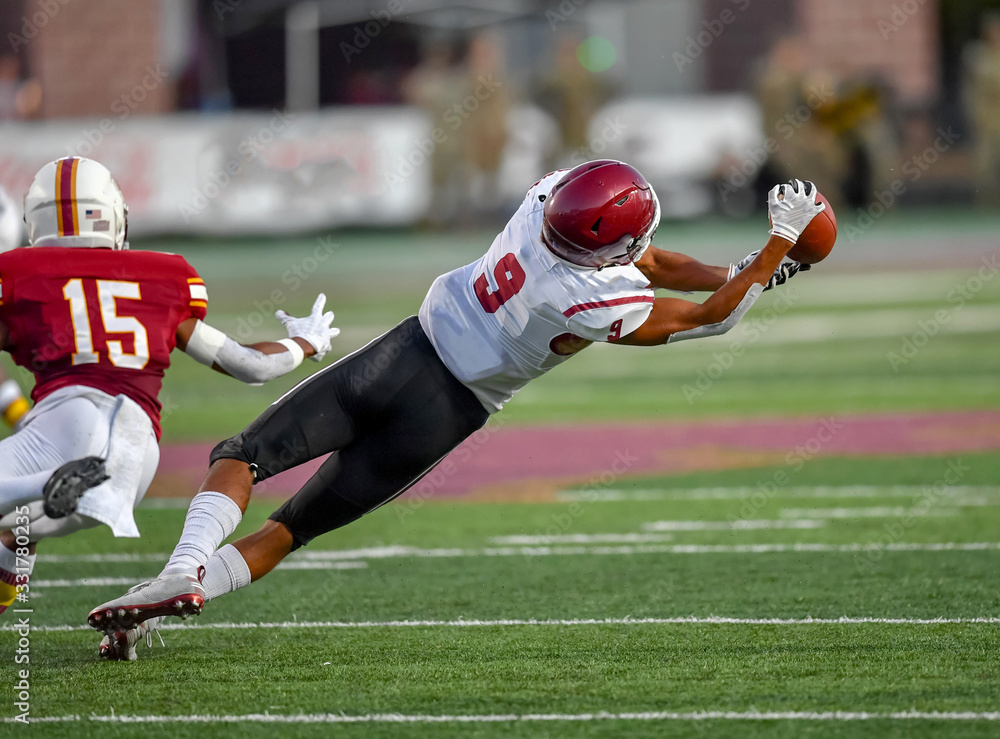 Great action photos of football players making amazing plays during a ...