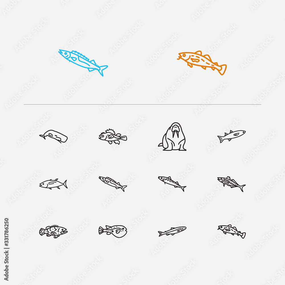 Aquatic icons set. Cod fish and aquatic icons with mackerel, gemfish ...