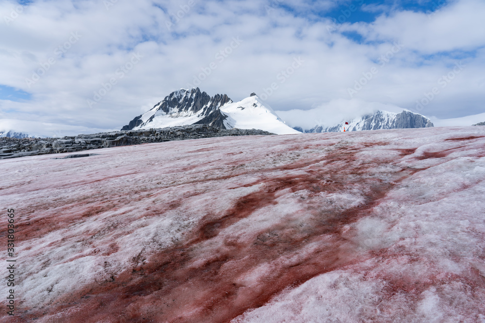 Red snow in antarctica landscape Stock Photo | Adobe Stock
