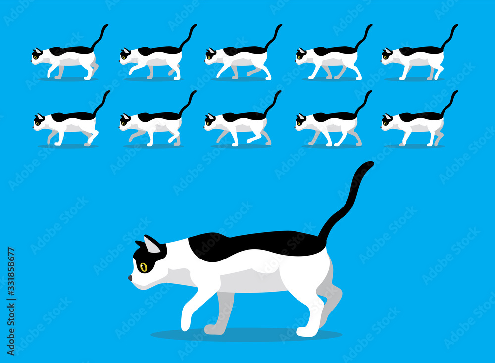 Animal Animation Sequence Cat Aegean Cartoon Vector Stock Vector ...