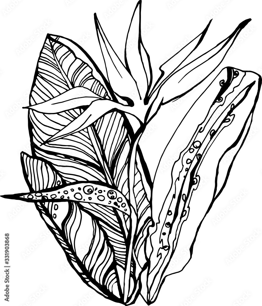 Vector. Flower, outline contour drawn by a liner for a pattern, for ...