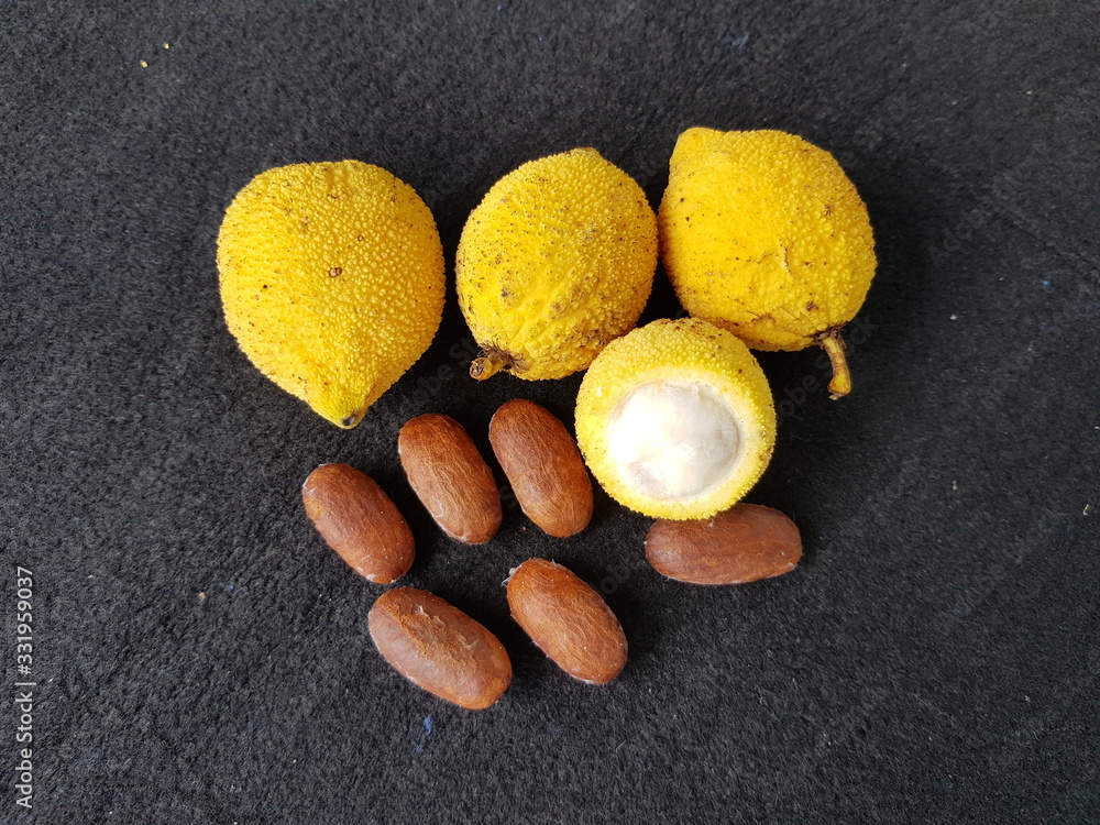 Fruits and seeds of Platonia insignis, the sole species of the genus ...