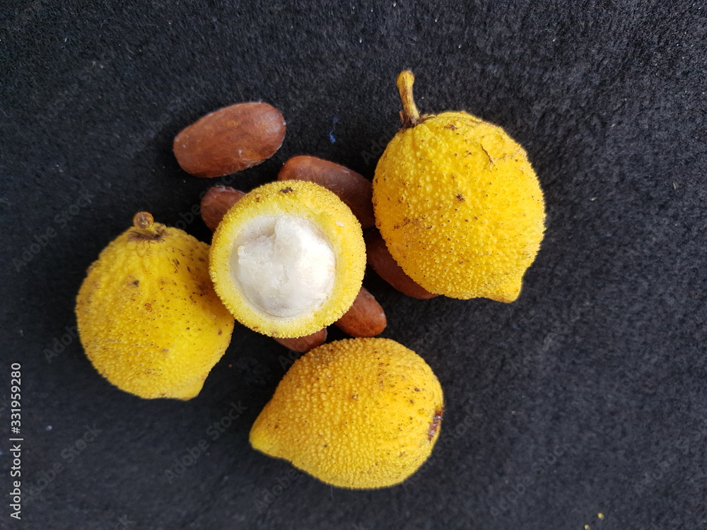 Fruits and seeds of Platonia insignis, the sole species of the genus ...