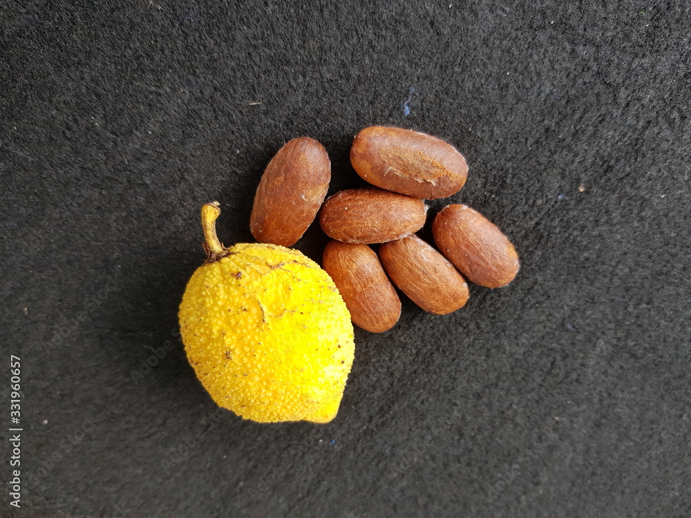 Fruits and seeds of Platonia insignis, the sole species of the genus ...