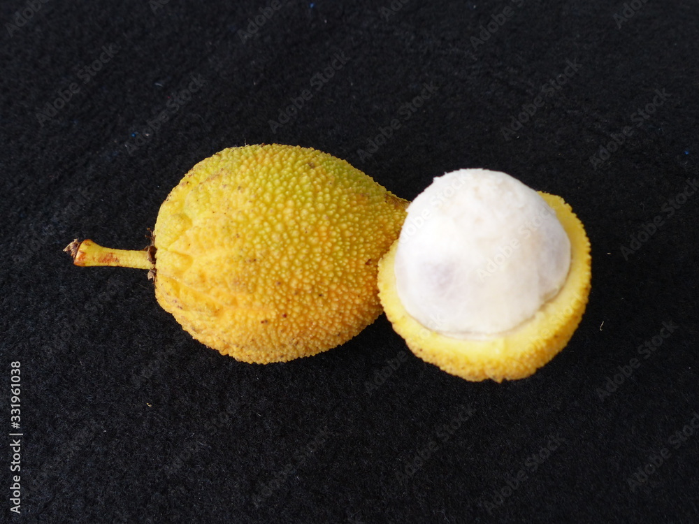 Platonia insignis, the sole species of the genus Platonia, is a tree of ...