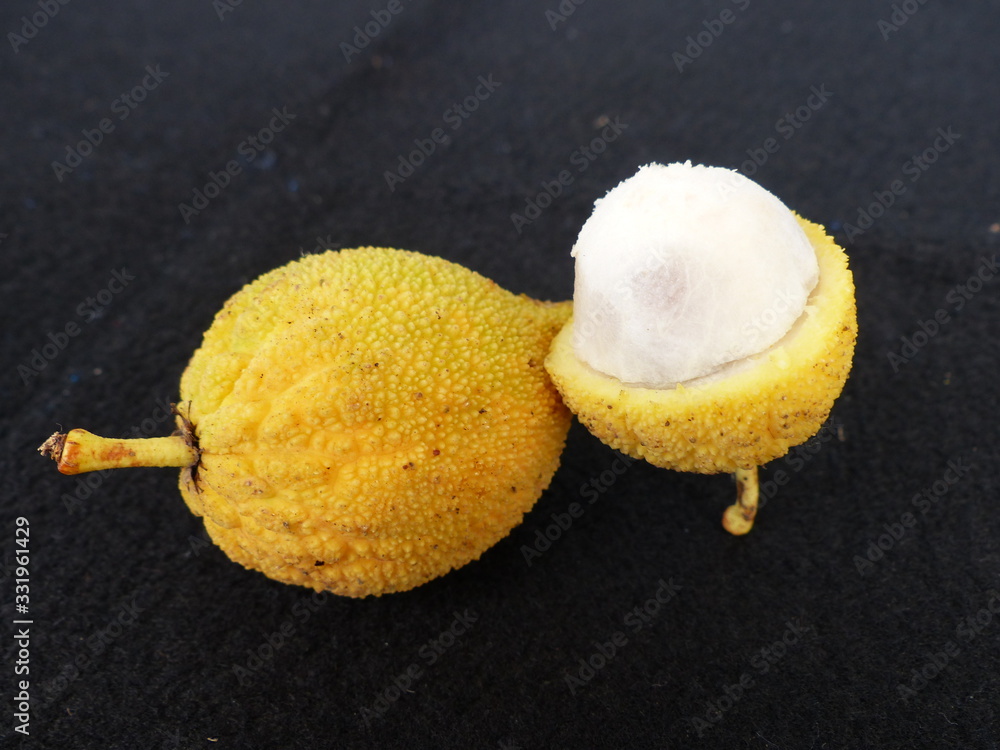 Platonia insignis, the sole species of the genus Platonia, is a tree of ...