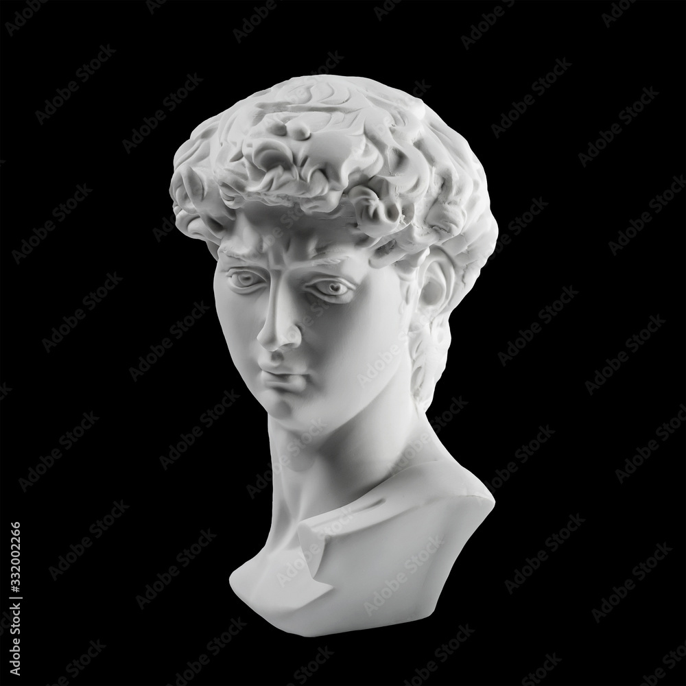 Gypsum statue of David's head. Michelangelo's David statue plaster copy ...