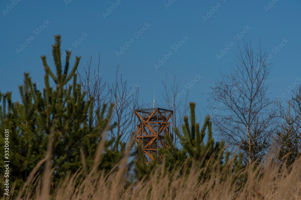 View for landscape with cut down forests after bark beetle and lookout ...