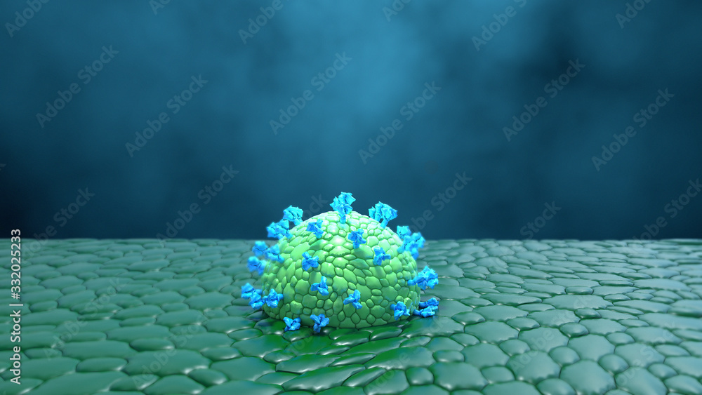 Virus-Like Particle (VLP) , Plant-Based Coronavirus Vaccine Candidate ...