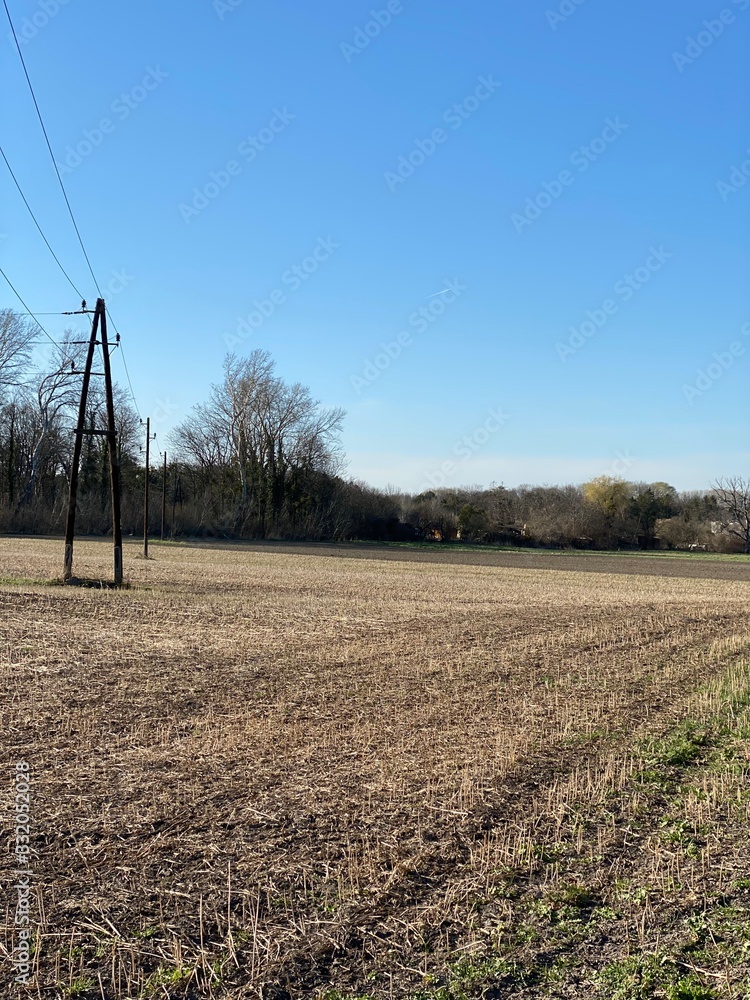 power lines in the field, power line, energy pylon, high voltage, field ...