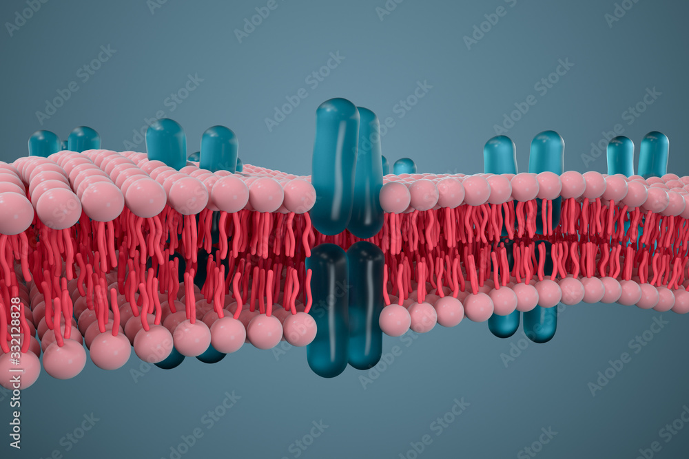 Cell membrane and biology, biological concept, 3d rendering. Stock ...