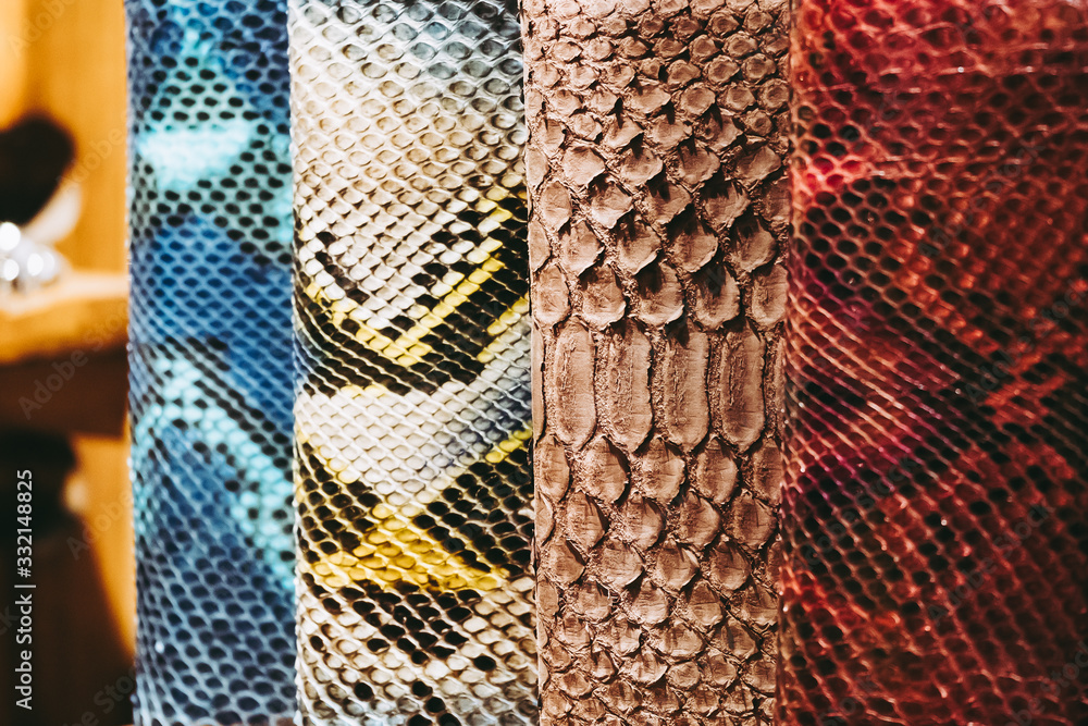 Arrière plan texture cuir de serpent Stock Photo | Adobe Stock