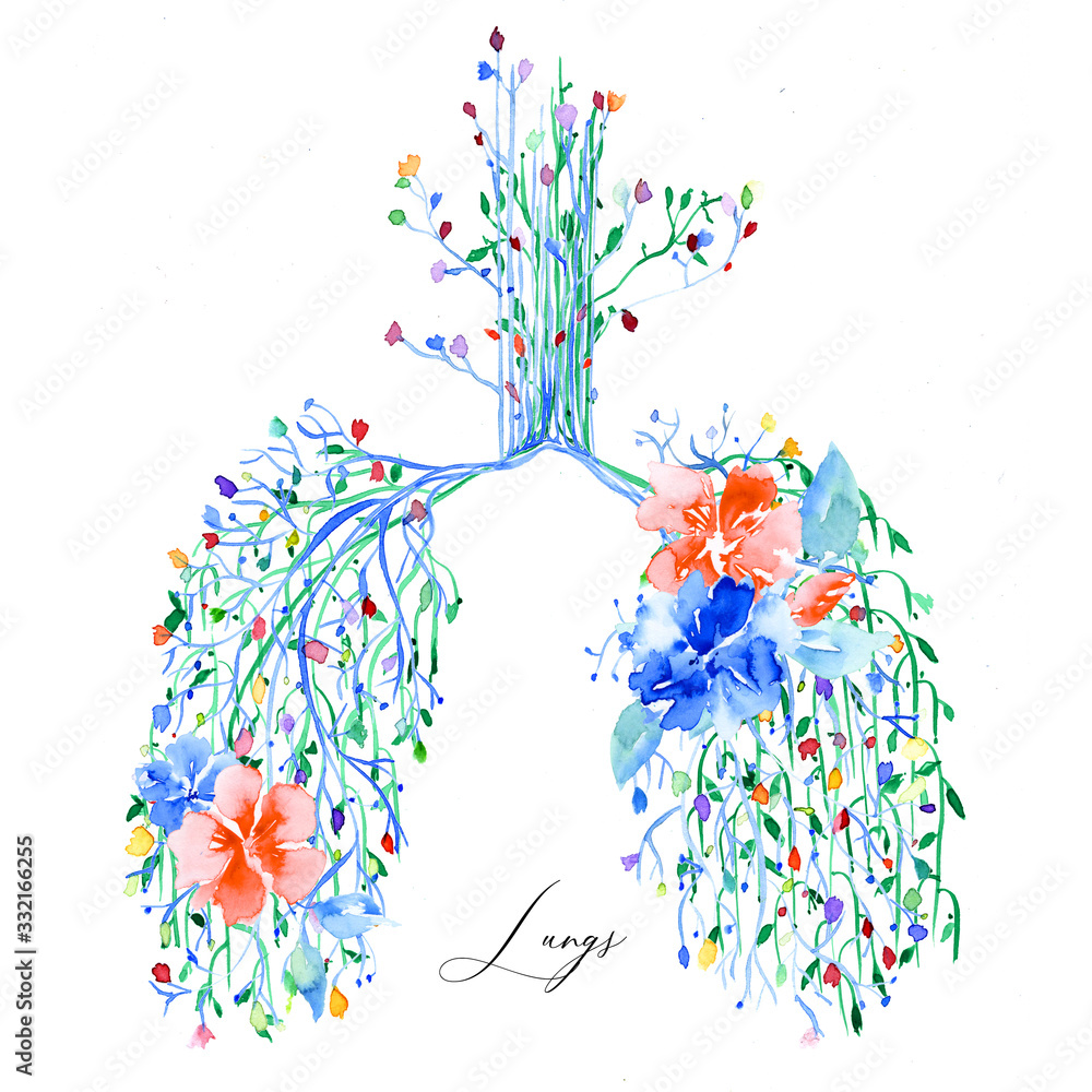 Lungs and flower clipart. Lungs anatomy, Bronchial tree watercolor ...