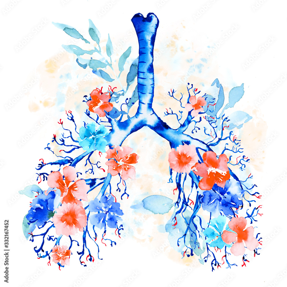 Lungs and flower clipart. Lungs anatomy, Bronchial tree watercolor ...