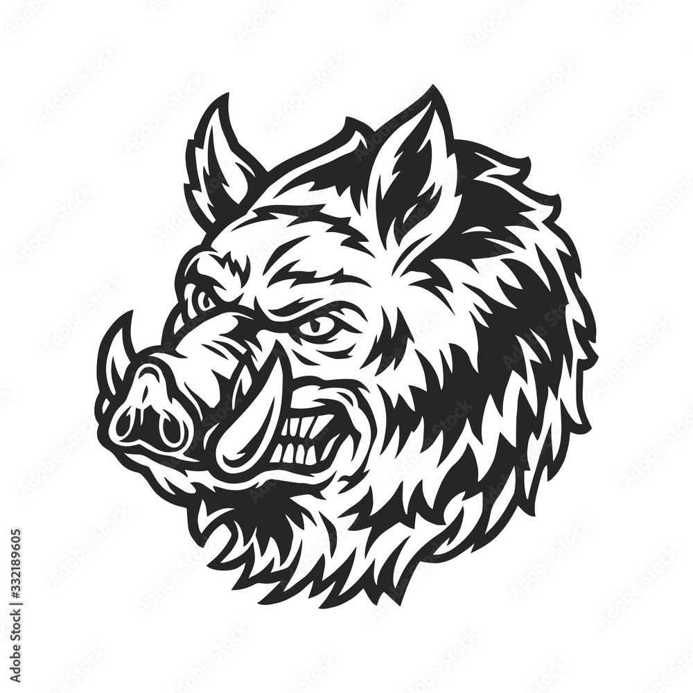 Vintage angry wild boar head Stock Vector | Adobe Stock