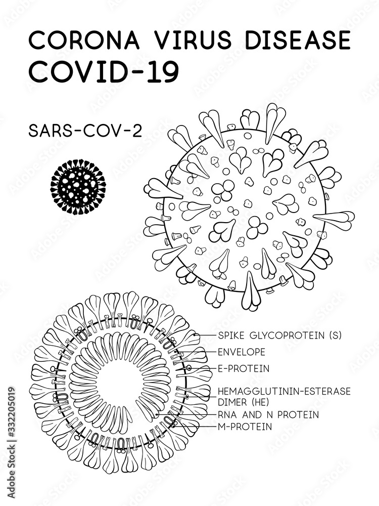 Corona virus disease covid-19, sars-cov-2 cell model with annotation ...