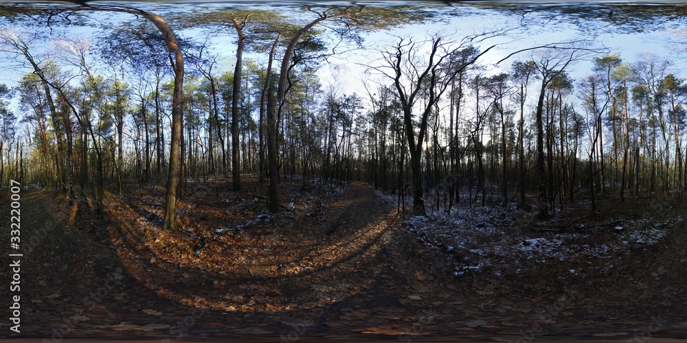 Forest HDRI Panorama Stock Photo | Adobe Stock