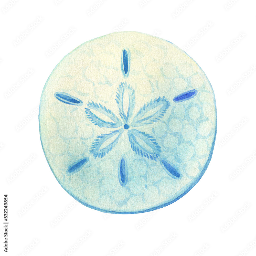 Blue Sand Dollar Illustration