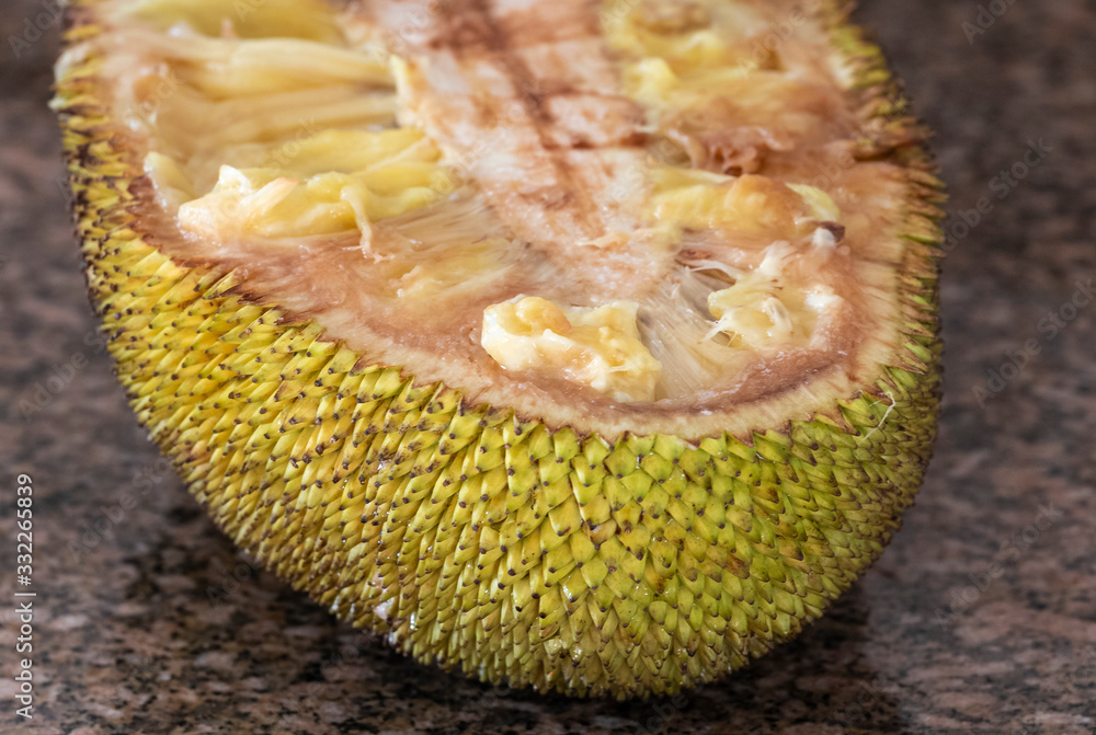 Jaca maior fruto comestível do mundo, rica em fibras, Cálcio, Fósforo e ...