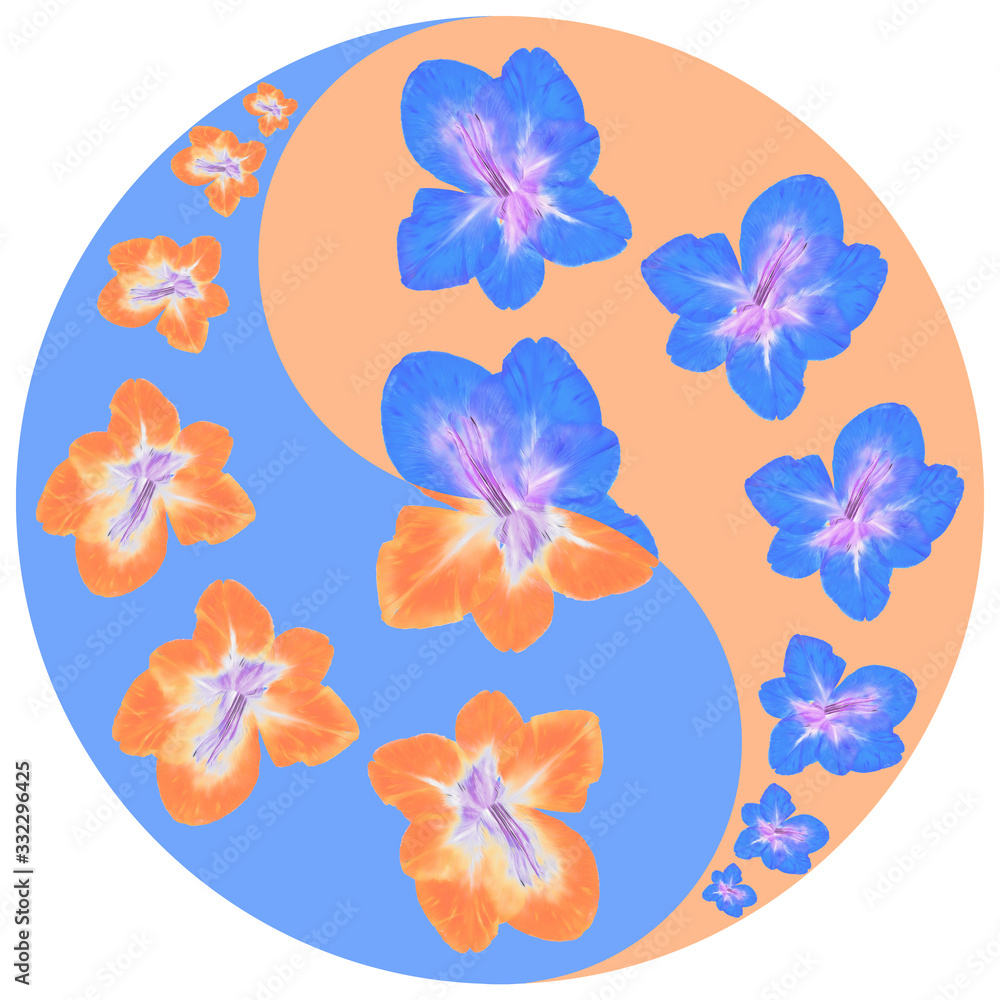 Floral symbol Yin-Yang. Gladiolus. Geometric pattern of Yin-Yang symbol ...