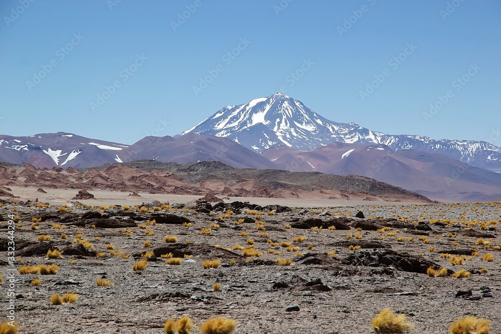 Llullaillaco volcano at the Puna de Atacama, Argentina Stock Photo ...