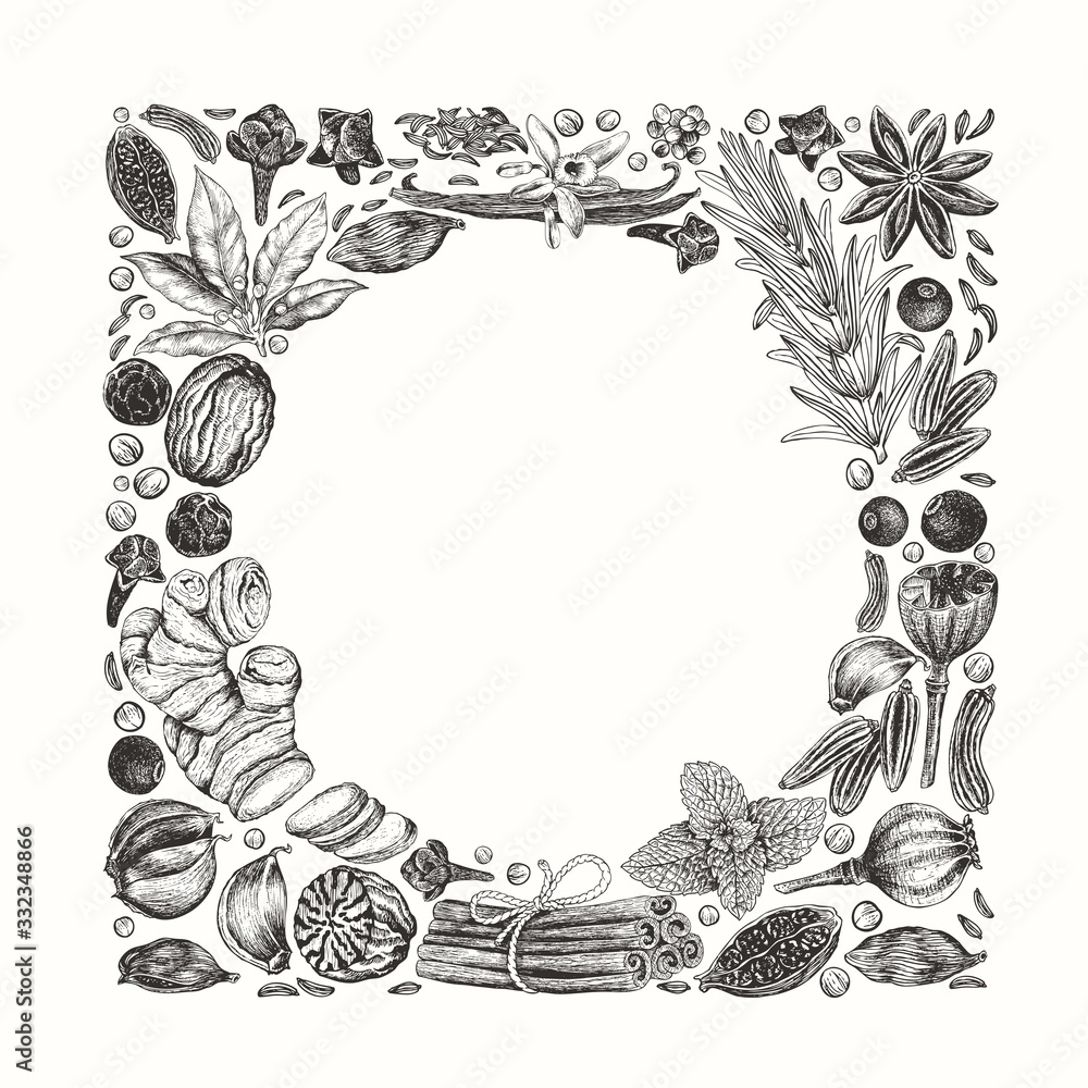 Herbs and spices in hand drawn square frame, natural seasoning for ...