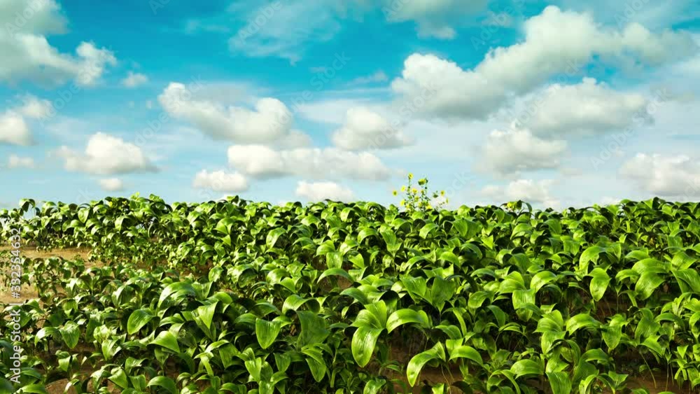 Generic conceptual healing and recovering animation. Earth and nature ...