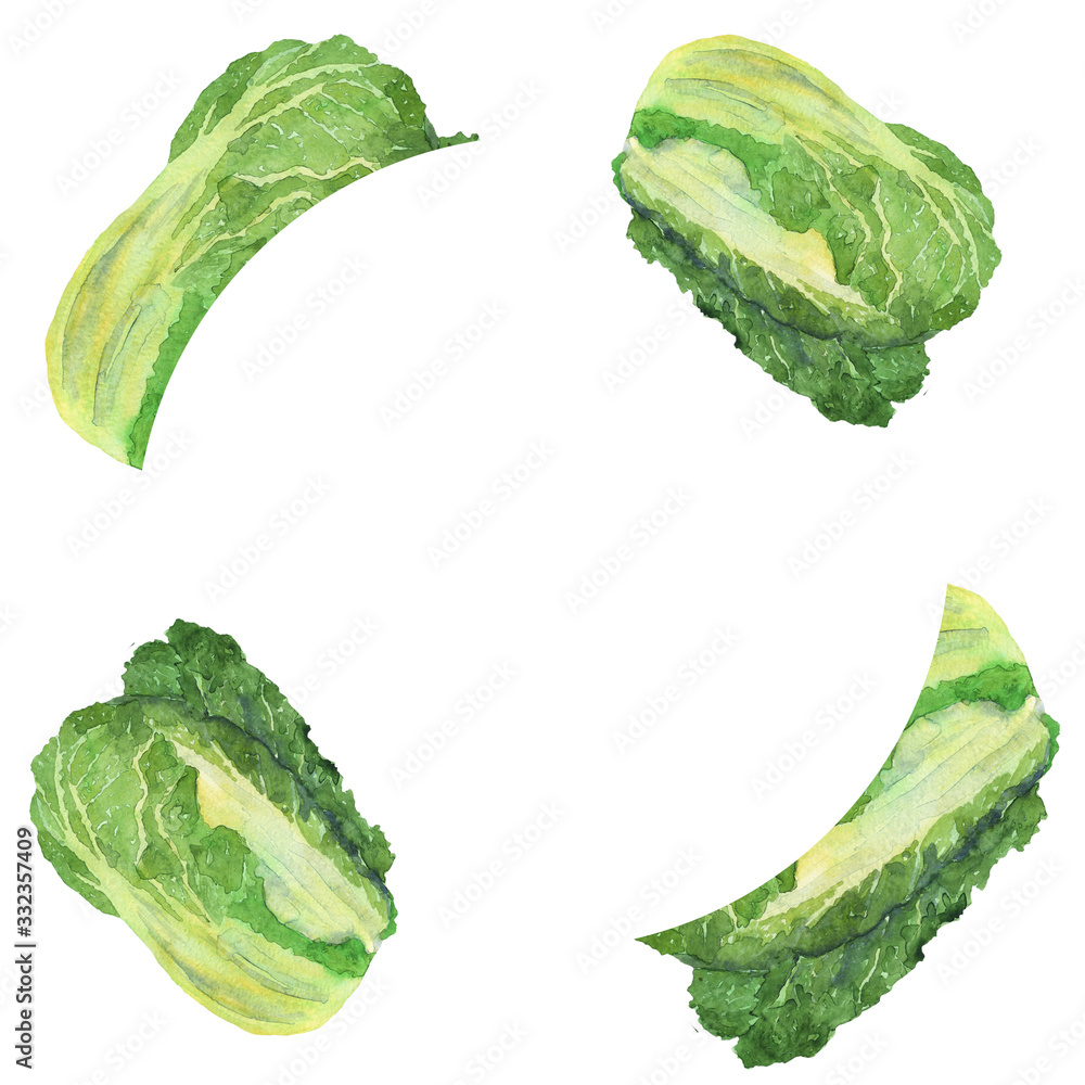 Watercolor frame with chinese cabbage on white background. Hand drawing ...