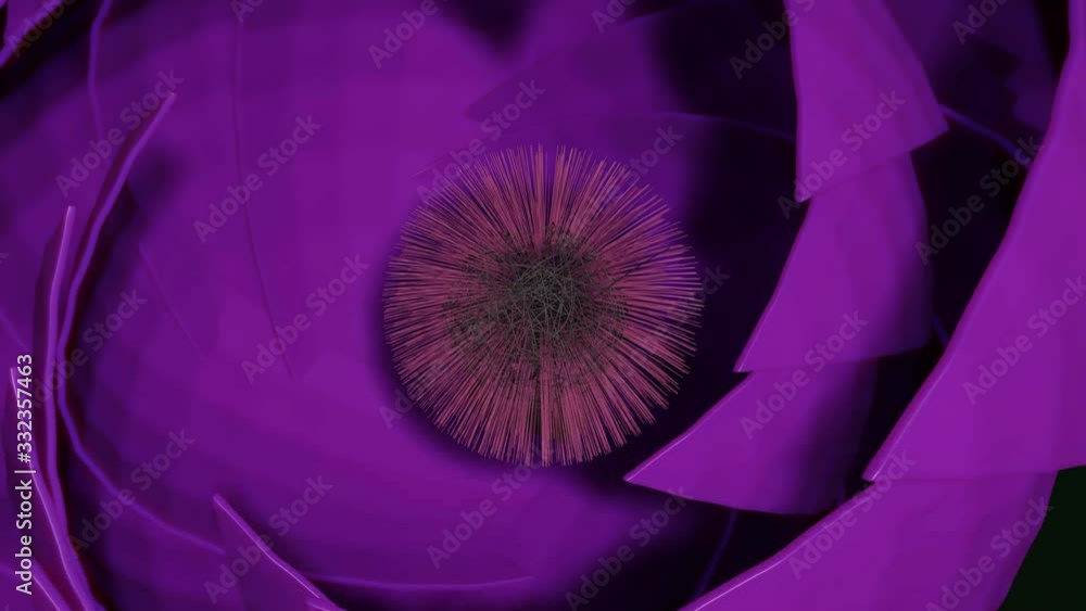 Purple fantastic flower, animated macro with pistil amnd igma, moving ...