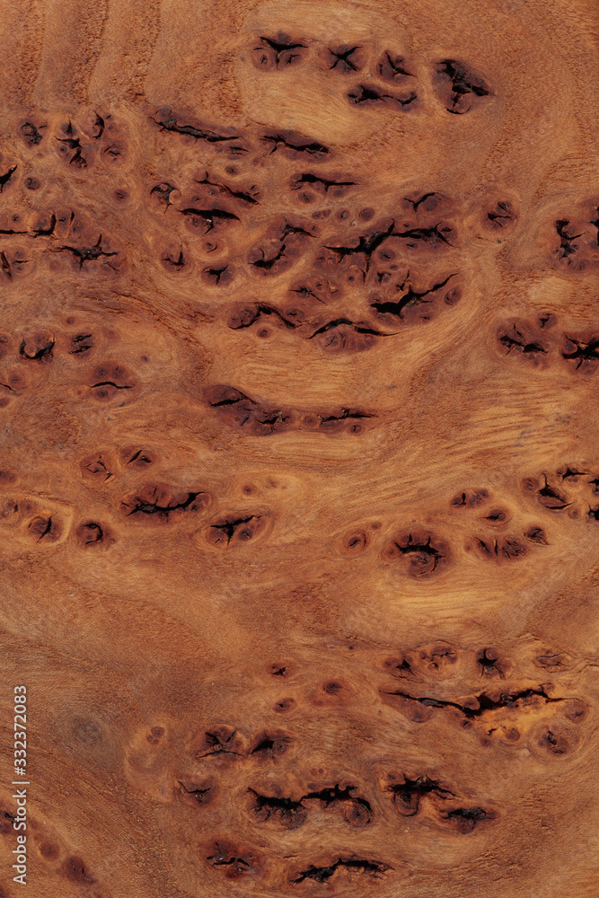 Natural burl wood texture background. Marble texture of the wood ...