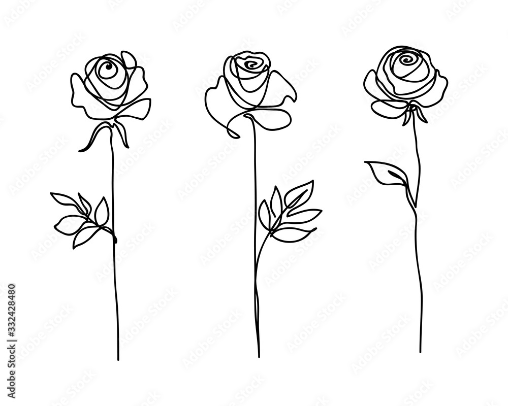 Rose flower set. Continuous drawing. Line art concept design. Stylish ...