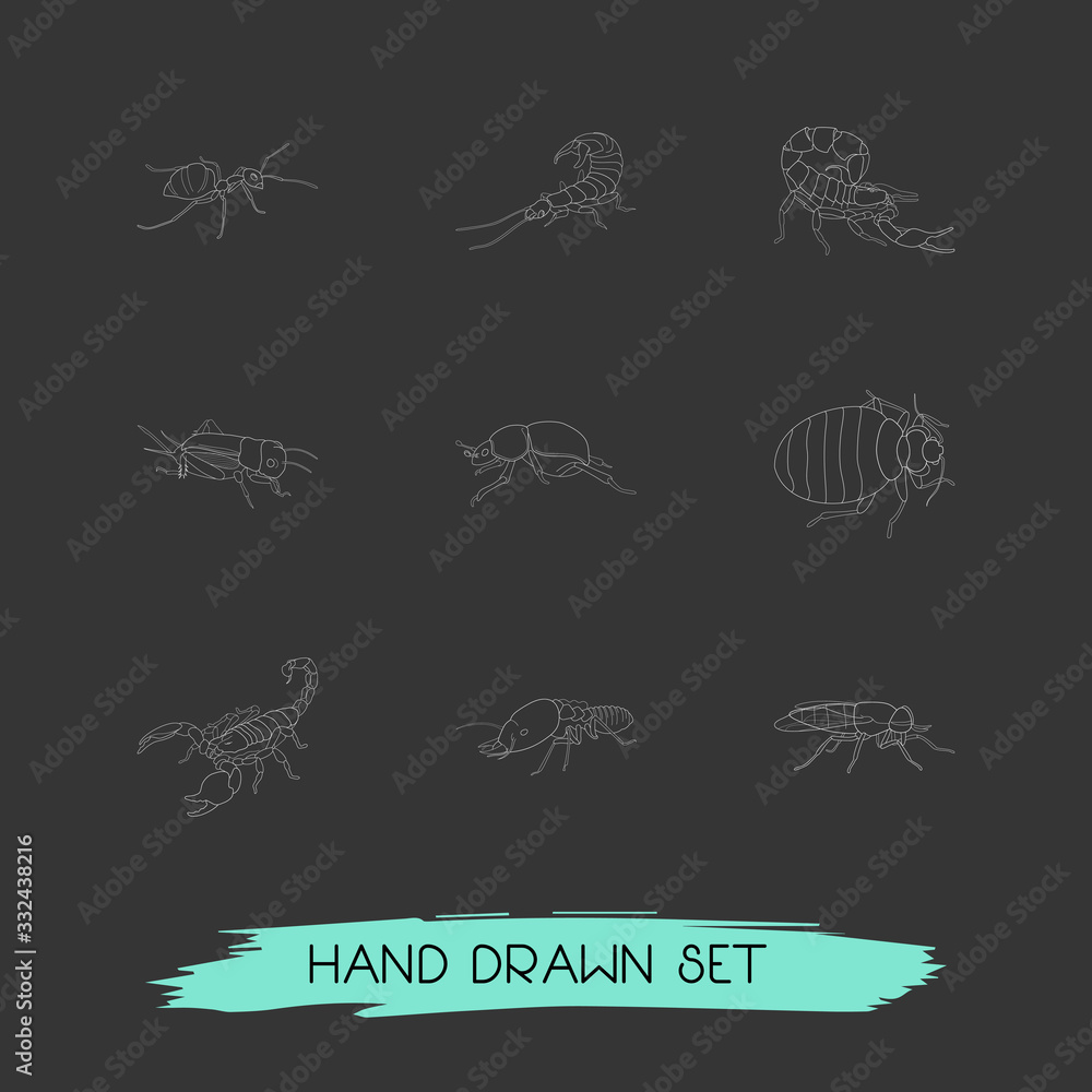 Set of insect icons line style symbols with horsefly, honey ant ...