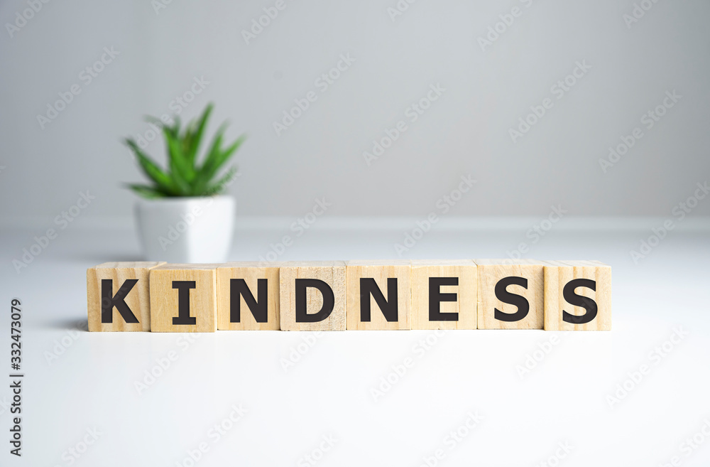 KINDNESS - words from wooden blocks with letters, KINDNESS concept, top ...