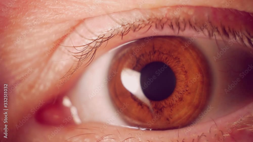 Man's eye super macro view. The eye reacts to light on. Narrow and ...