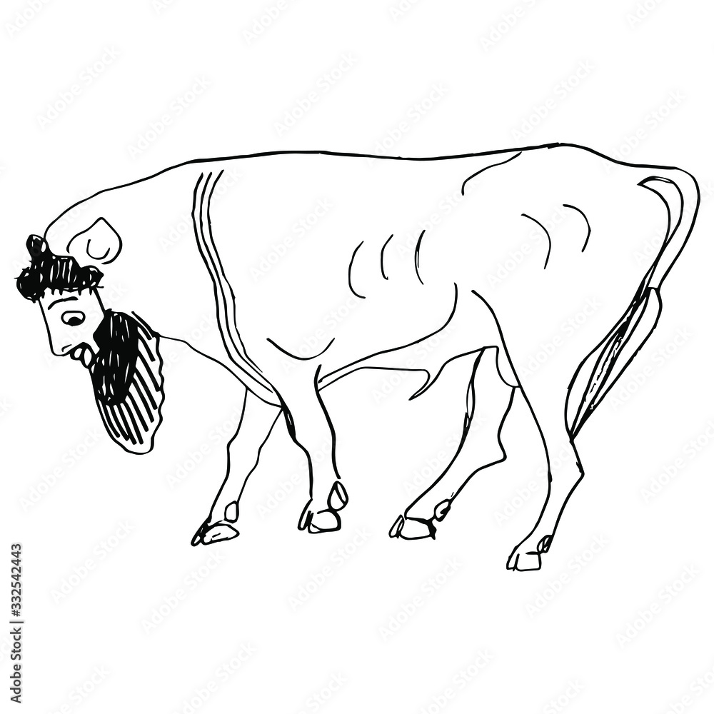 Isolated vector illustration. Fantastic bull with human bearded head ...