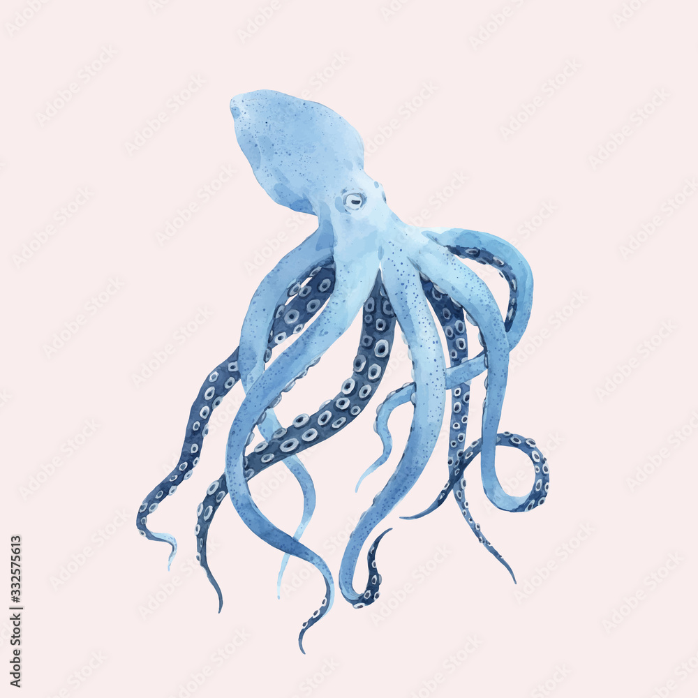 Beautiful vector underwater watercolor octopus stock illustration ...