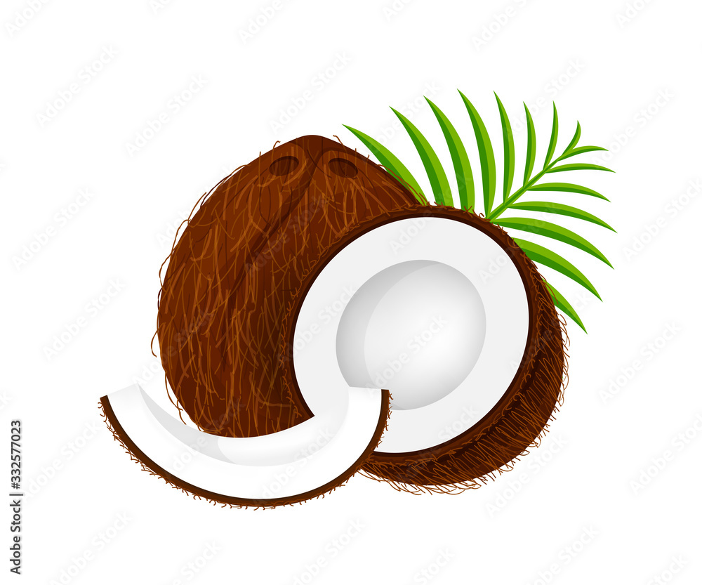 coconut half slice on leaf green, coconut brown fruit half cut isolated ...