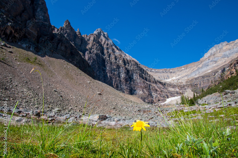 Hiking at Lake Louise, Banff National Park, Alberta, Canada Trail to ...