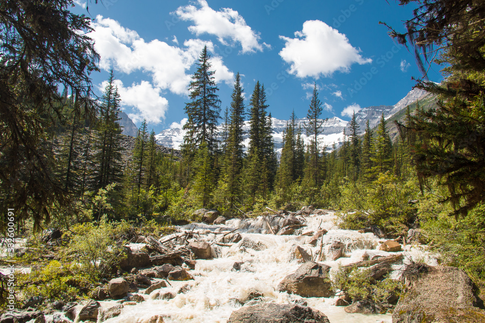 Hiking at Lake Louise, Banff National Park, Alberta, Canada Trail to ...