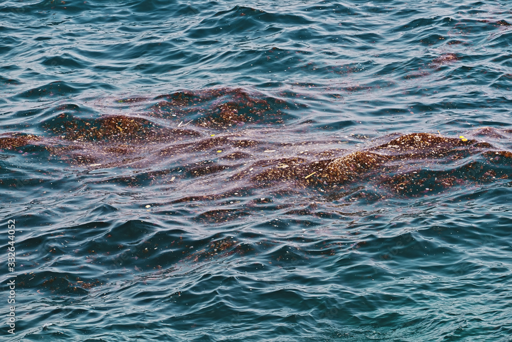 Accumulation of floating debris in seawater after storm. Pollution of ...