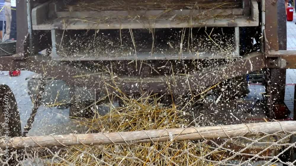 Old Wheat Threshing Machinery / How to threshing wheat at the end of ...