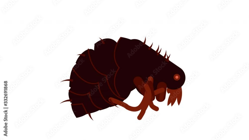 Seamless loop. Five different color variations of flea walk cycle ...