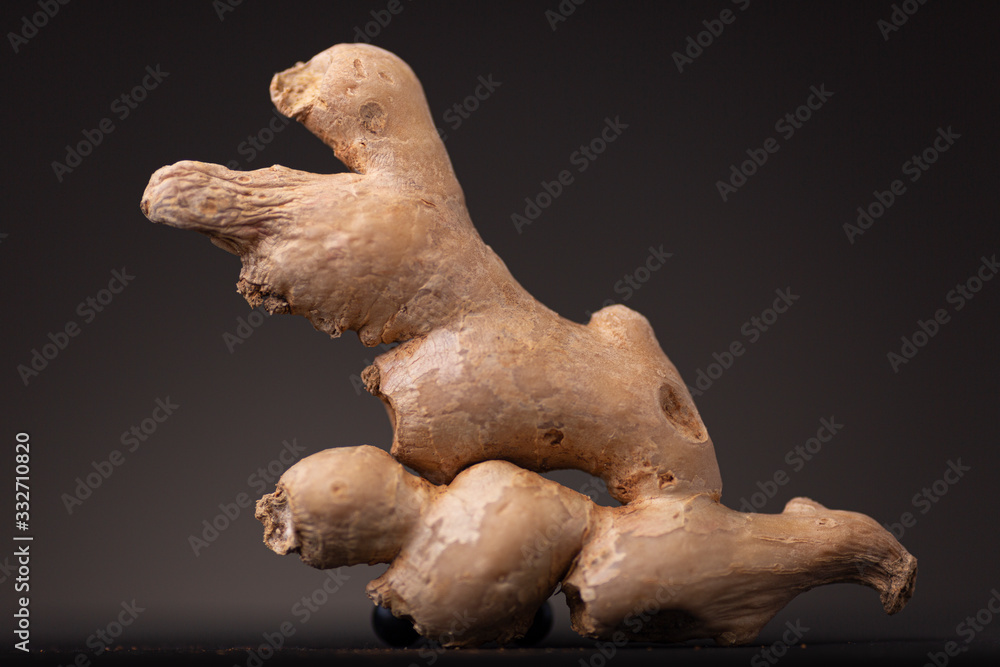 Dramatic artistic still life image of upright fresh ginger root with ...