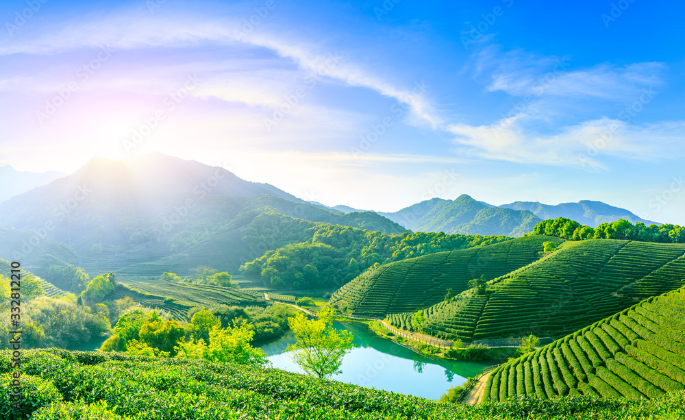 Green tea mountain at sunset,tea plantation background. Stock Photo ...