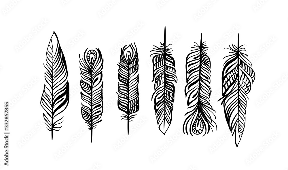 Eagle Feather Vector