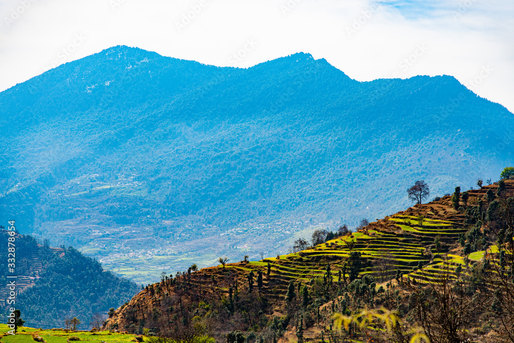 Terrace Farms Stock Photo | Adobe Stock