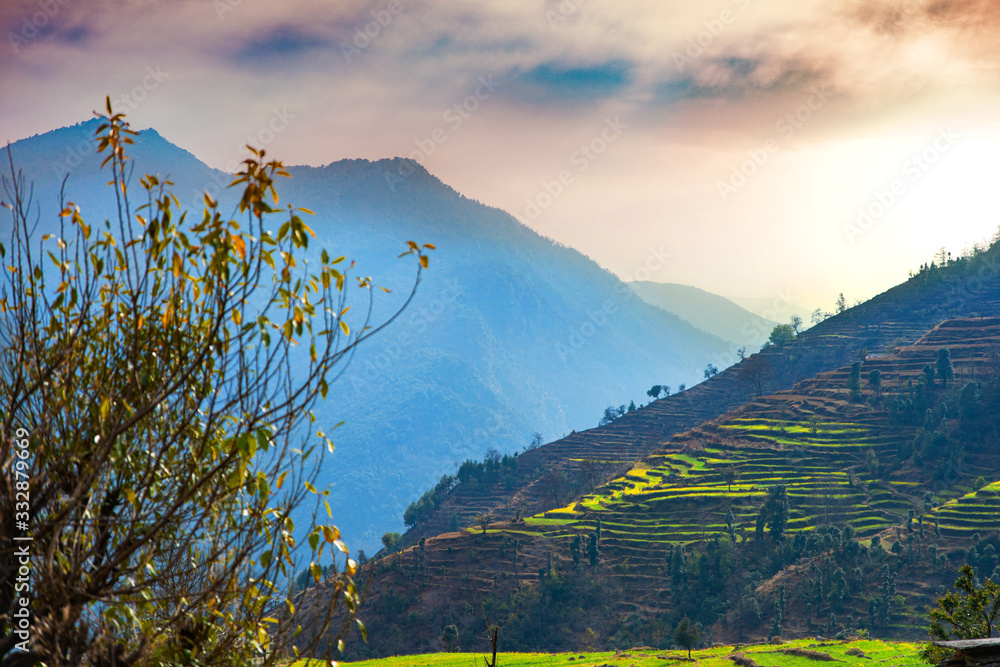 Terrace Farms Stock Photo | Adobe Stock
