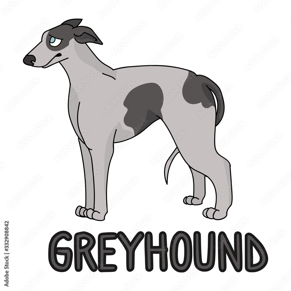 Cute cartoon greyhound dog breed with text word print vector clipart ...